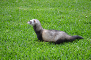 Huron: Descubre la historia y el encanto del Lago Huron